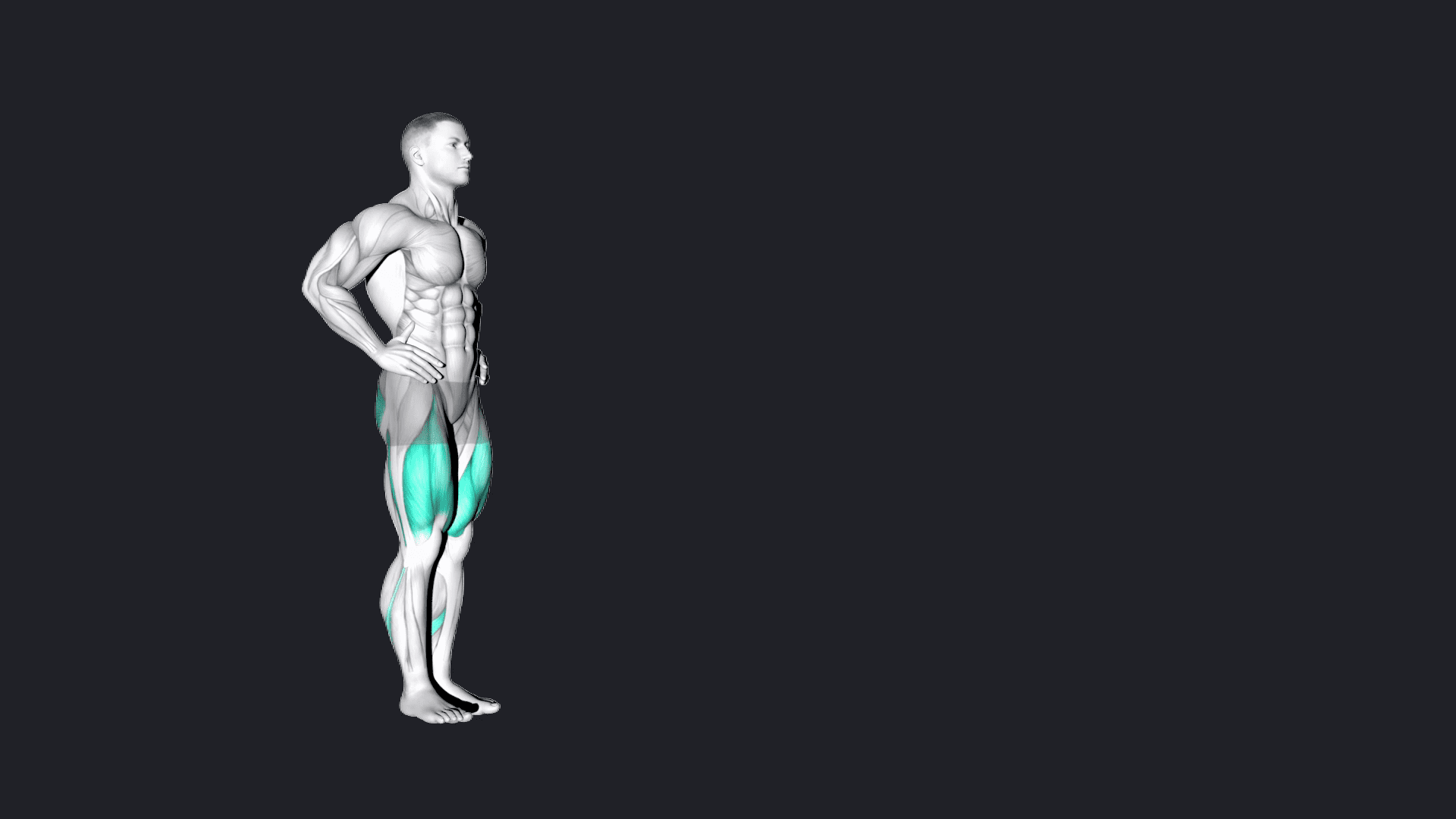 Walking Lunge vs Sumo Deadlift