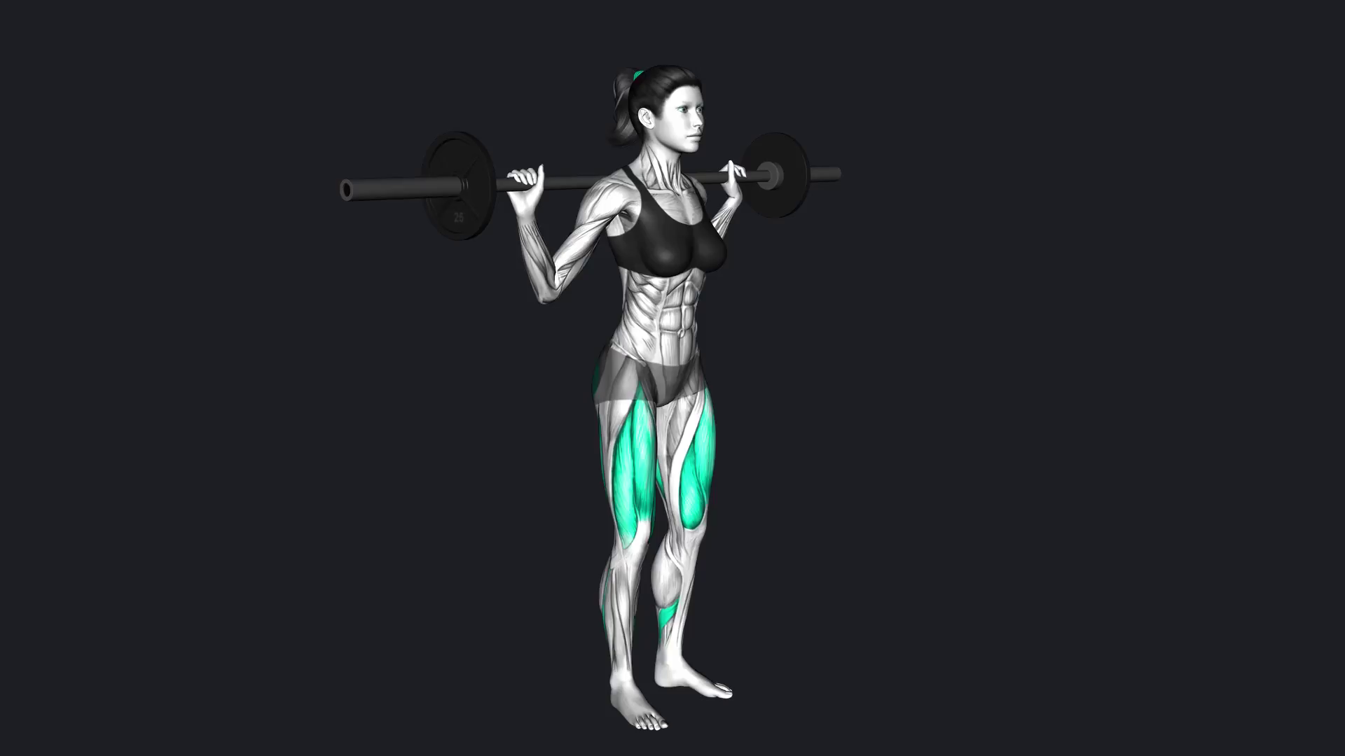 Barbell Narrow Squat Vs Standing Leg Curl
