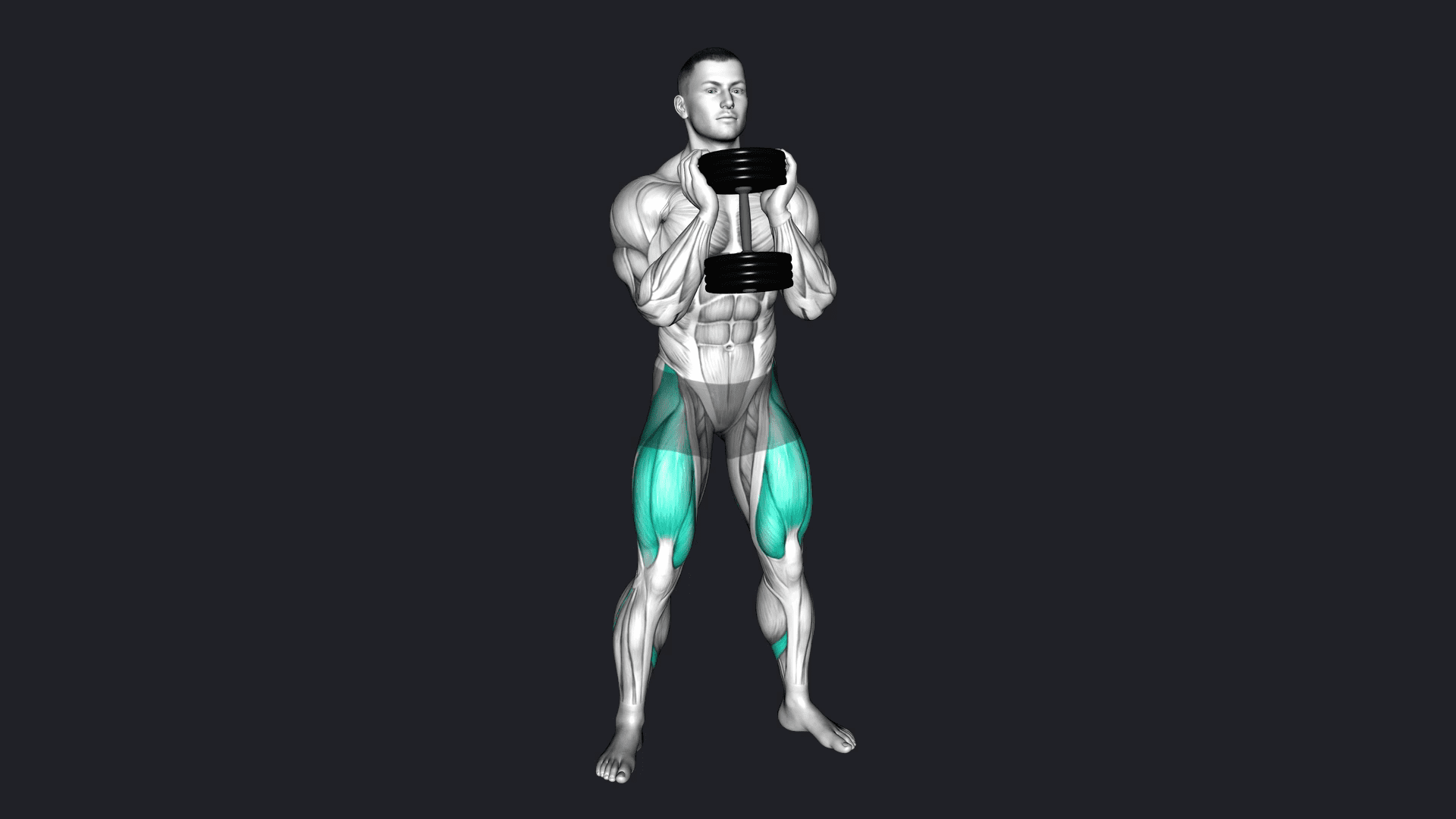 Goblet Squat vs Standing Calf Raise Machine