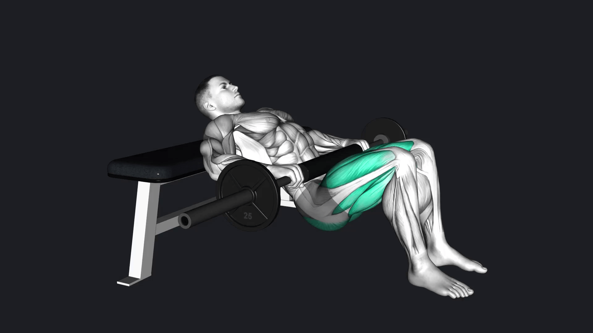 One Leg Barbell Hipthrust vs Standing Calf Raise Machine