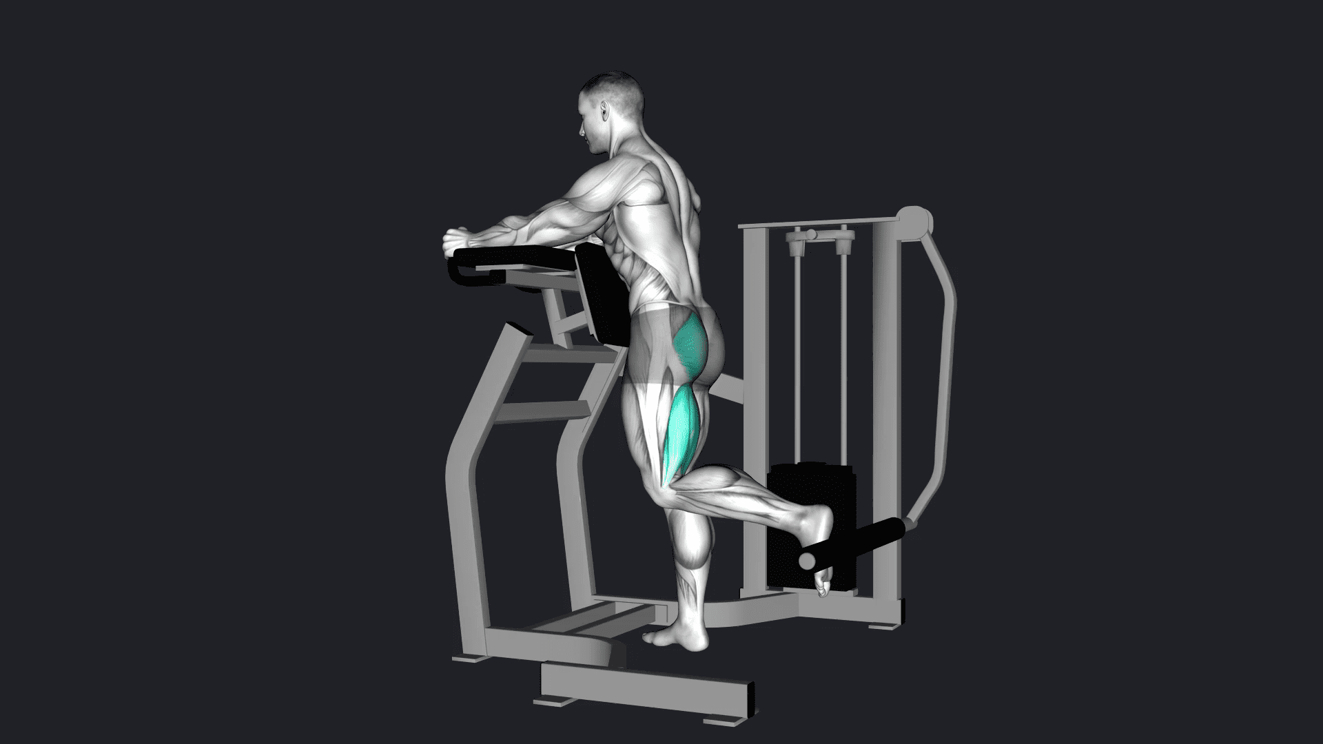 Hip Extension Machine - how to do, Alternatives, gif & More