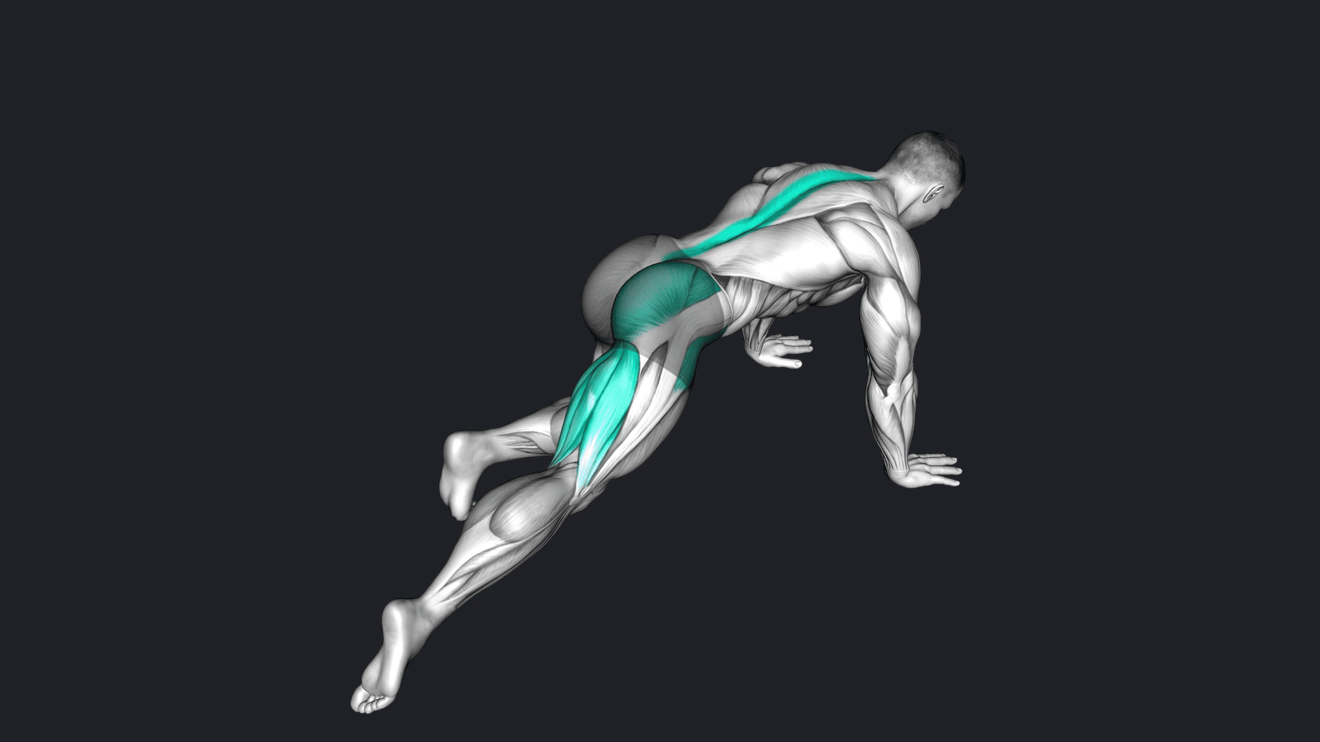 Glute Kick Back and Cross - how to do, Alternatives, gif & More