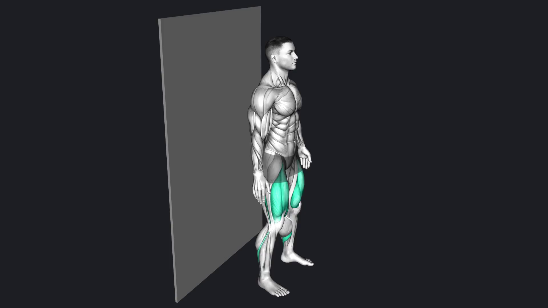 Wall Sit - how to do, Alternatives, gif & More