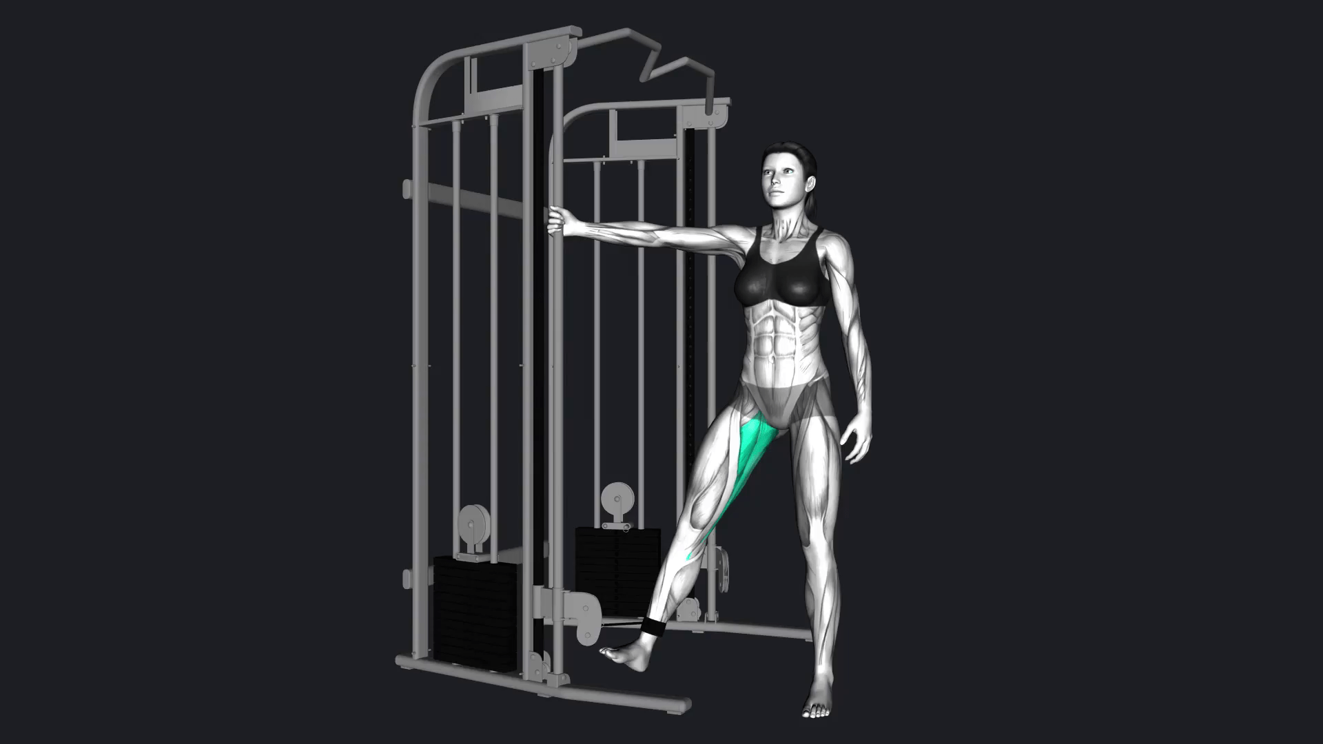Cable Hip Adduction - how to do, Alternatives, gif & More