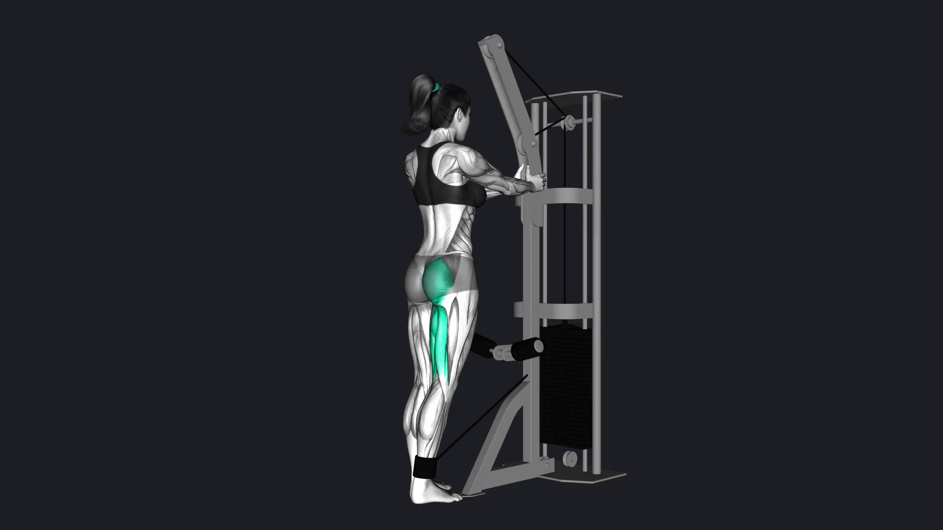 Cable Hip Extension - how to do, Alternatives, gif & More