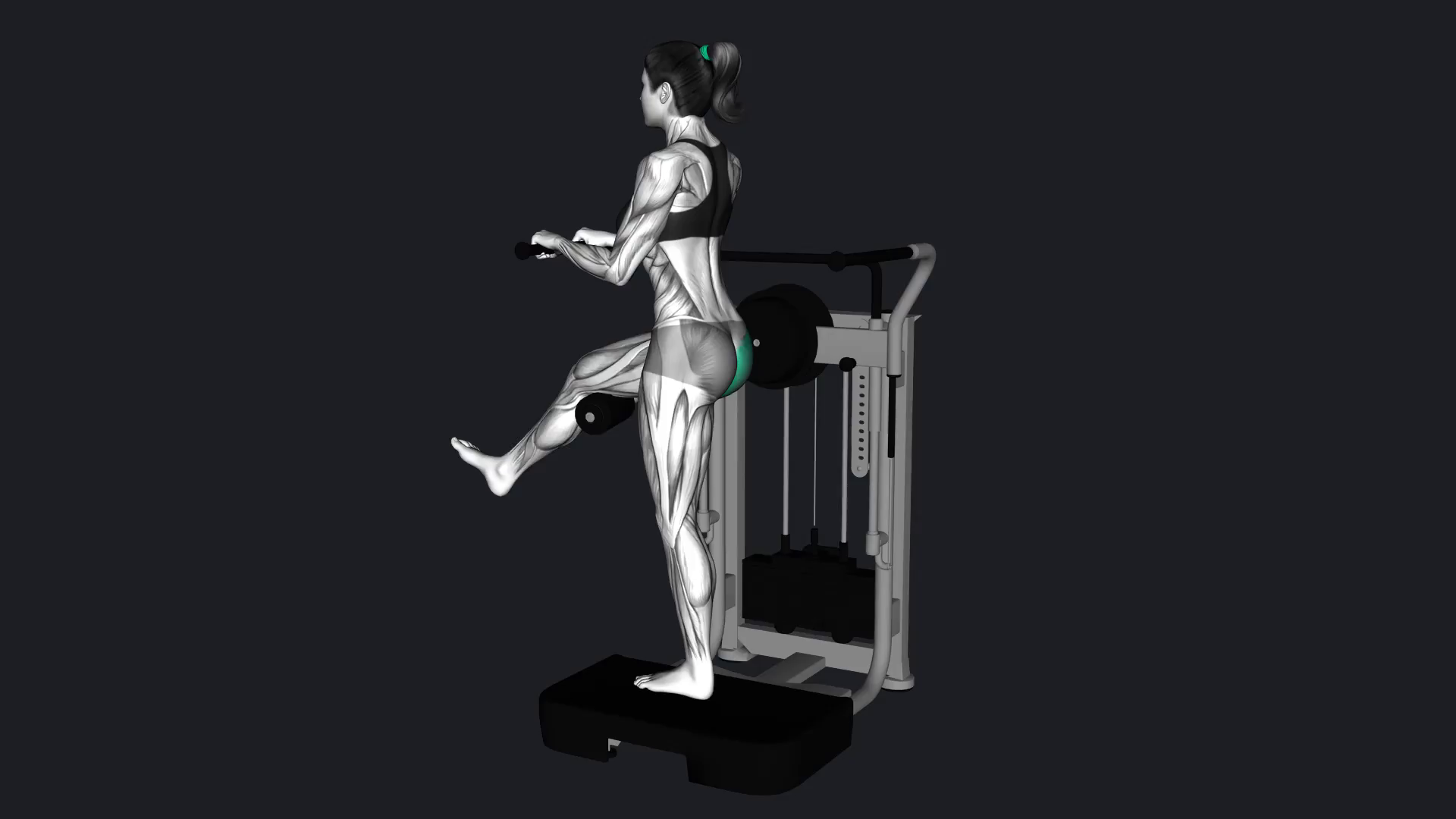 Hip Glute Machine - how to do, Alternatives, gif & More