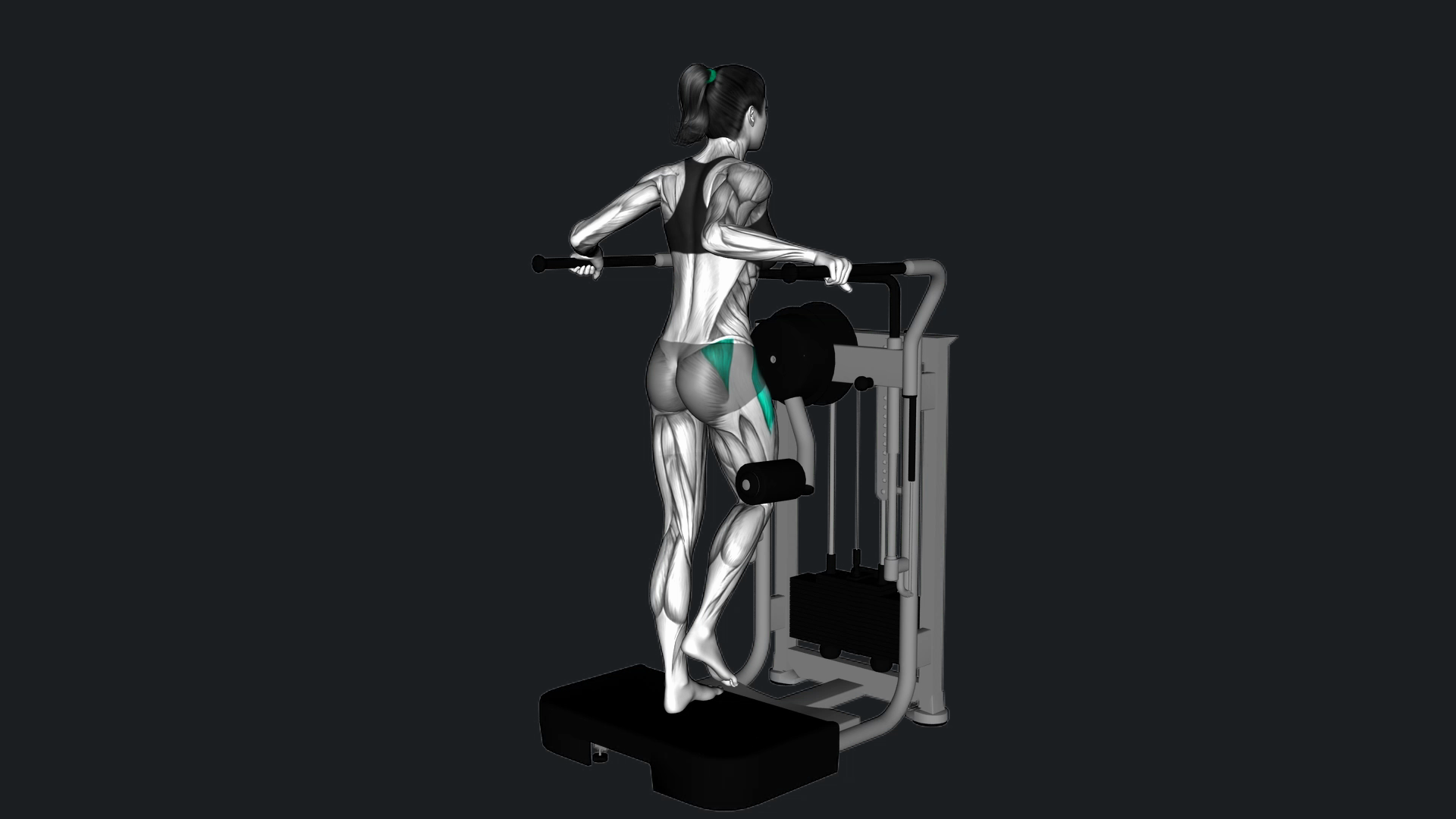 Standing Hip Abduction Machine - how to do, Alternatives, gif & More
