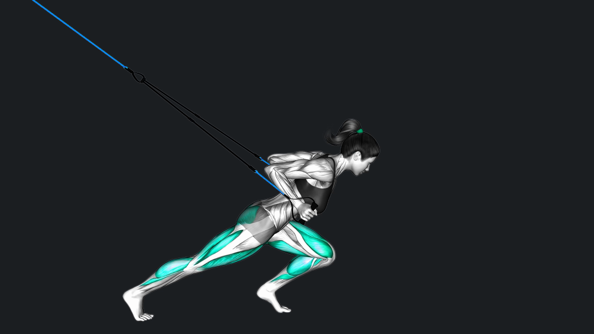 TRX Sprinter Start - how to do, Alternatives, gif & More