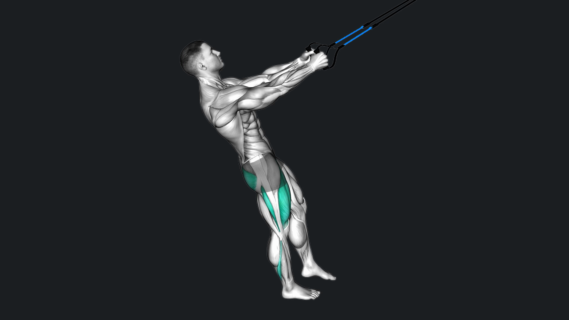 TRX Single Leg Squats - how to do, Alternatives, gif & More