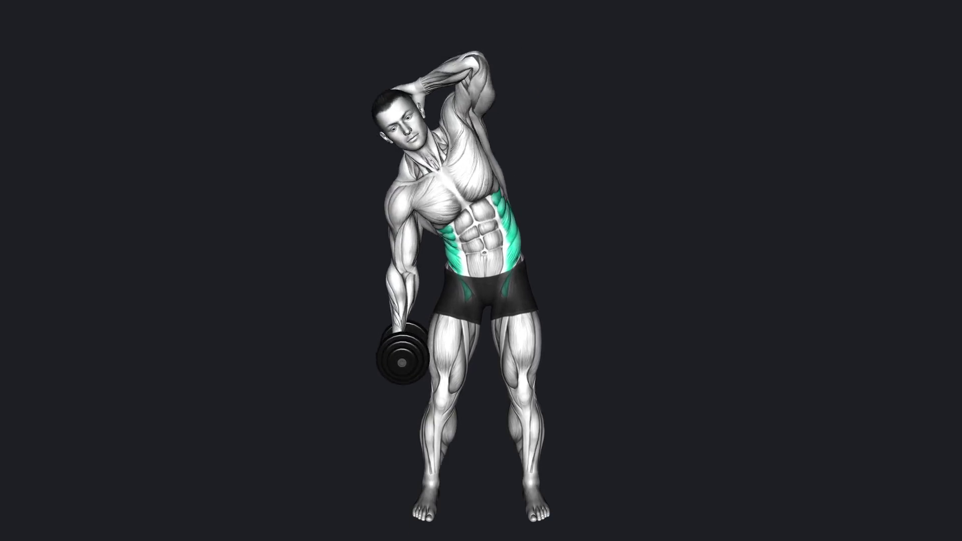 Dumbbell Side Bend vs Criss Cross