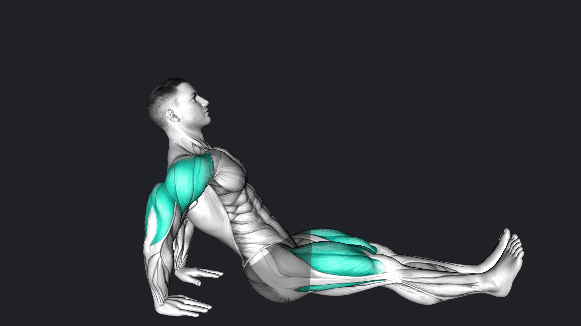 Reverse Plank vs Seated Knee Up