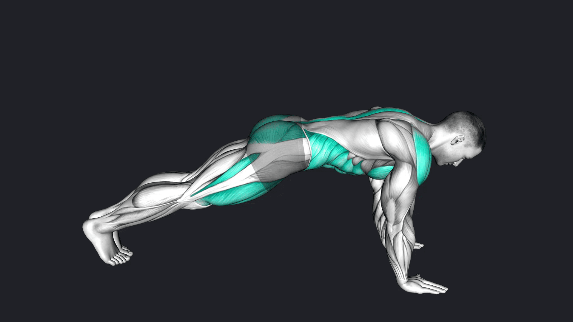 Mountain Climber - how to do, Alternatives, gif & More