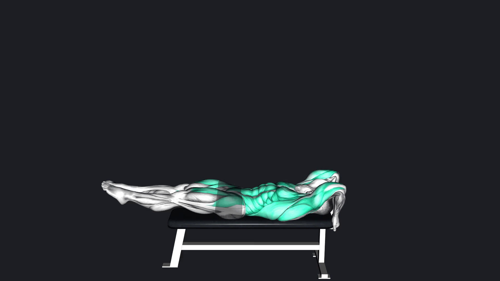 Dragon Flag vs Criss Cross