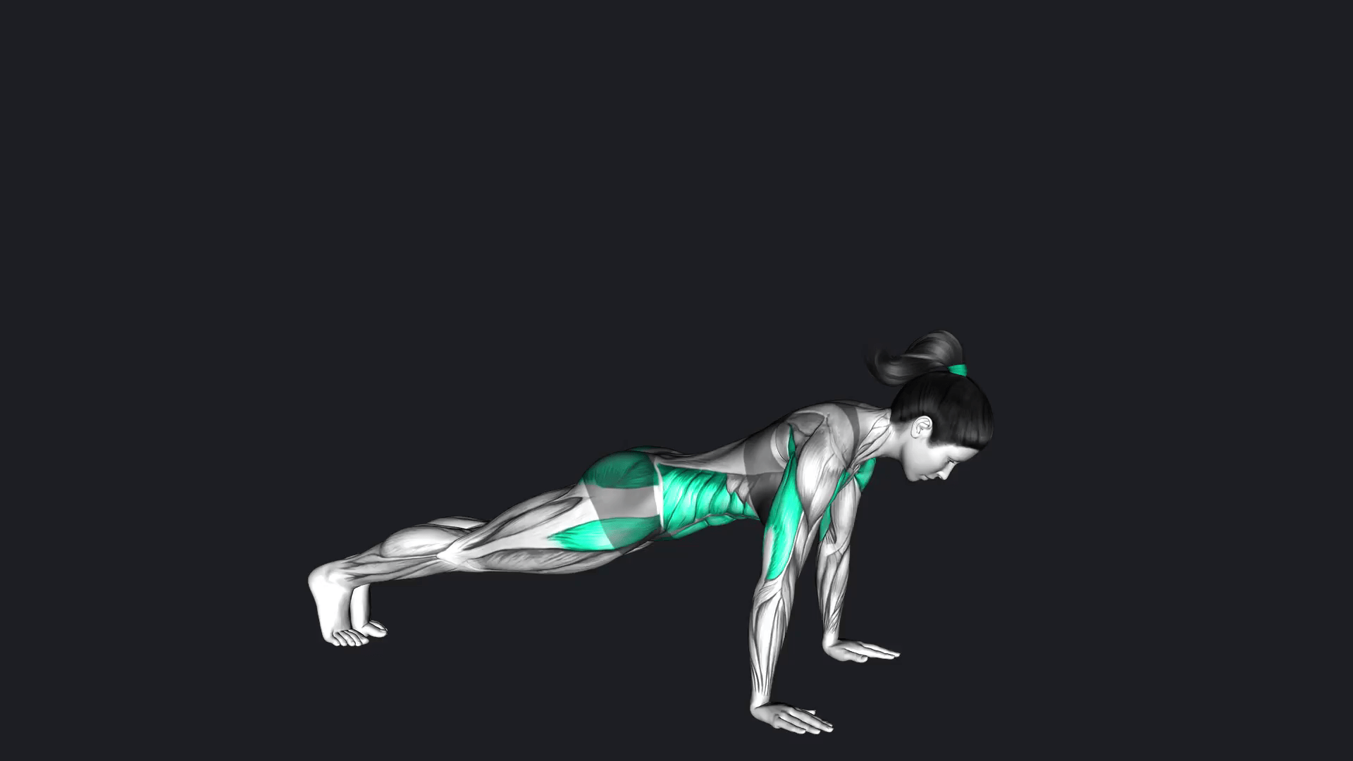 Rotation Push Up vs Full Plank