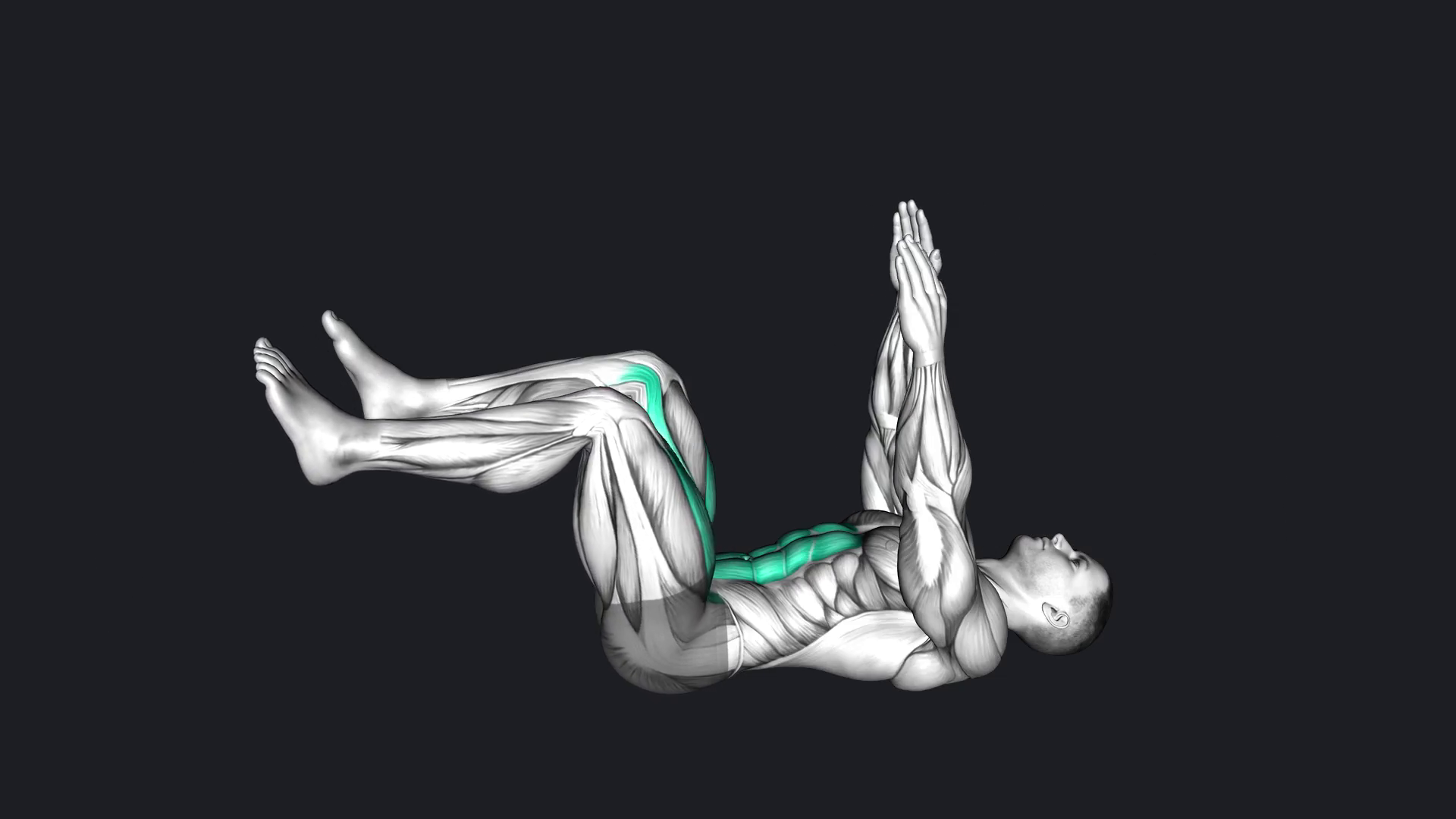 Dead Bug - how to do, Alternatives, gif & More