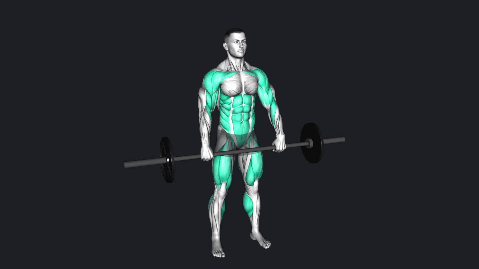 Barbell Hang Clean - how to do, Alternatives, gif & More