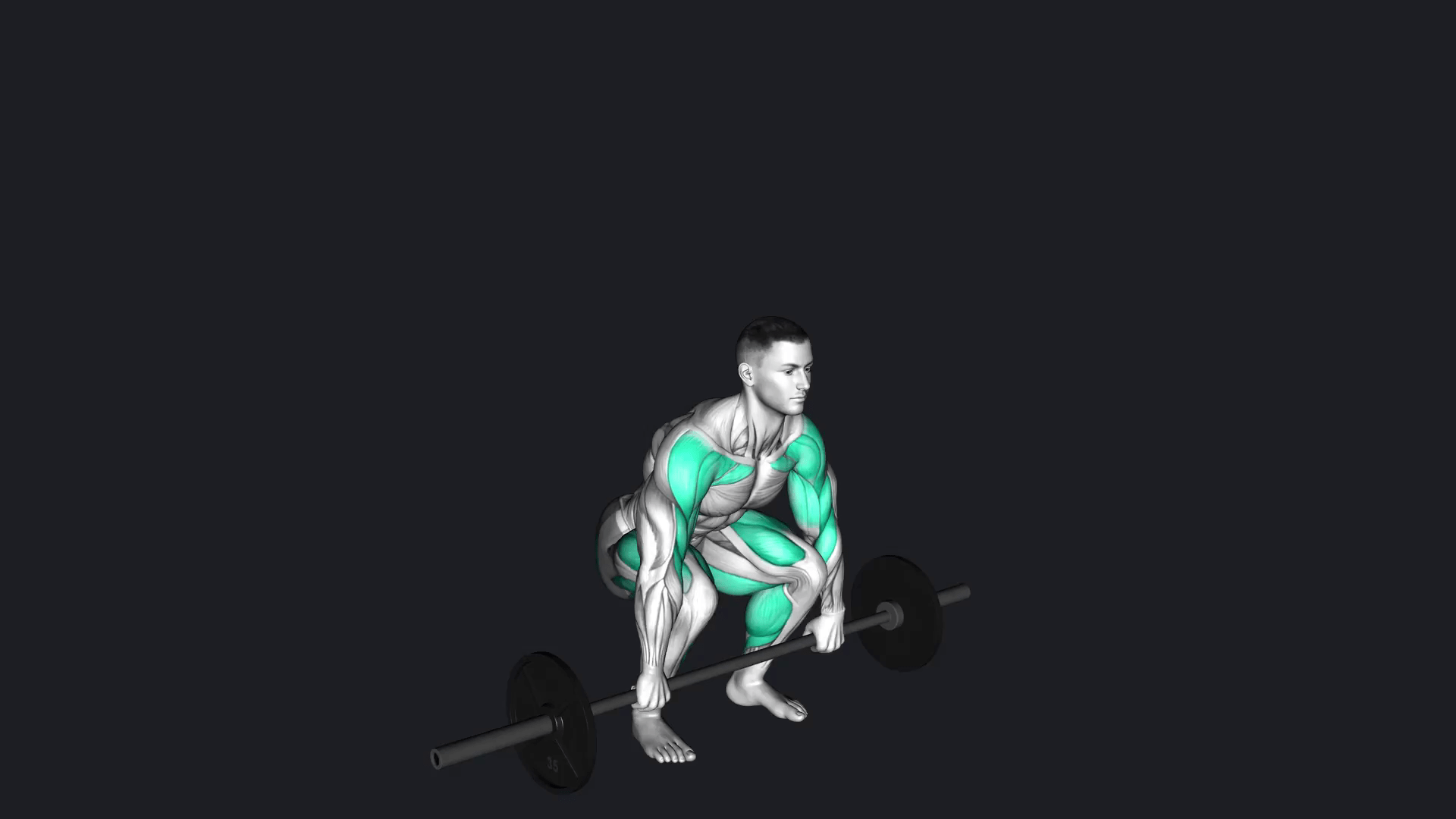 Barbell Muscle Clean - how to do, Alternatives, gif & More