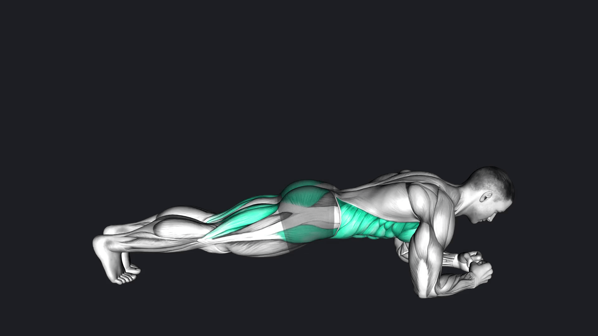 Single Leg Plank - how to do, Alternatives, gif & More