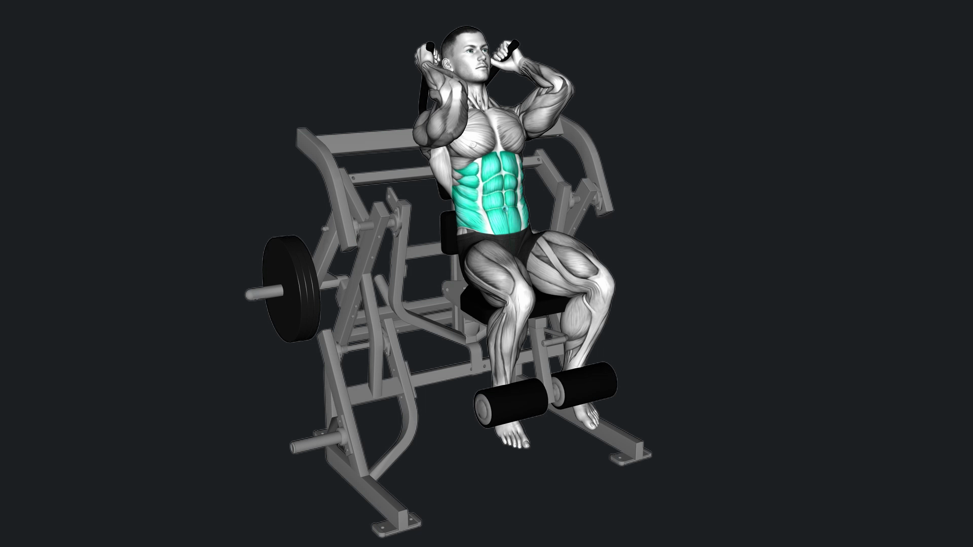 Hammer Strength MTS Abdominal Crunch - how to do, Alternatives, gif & More