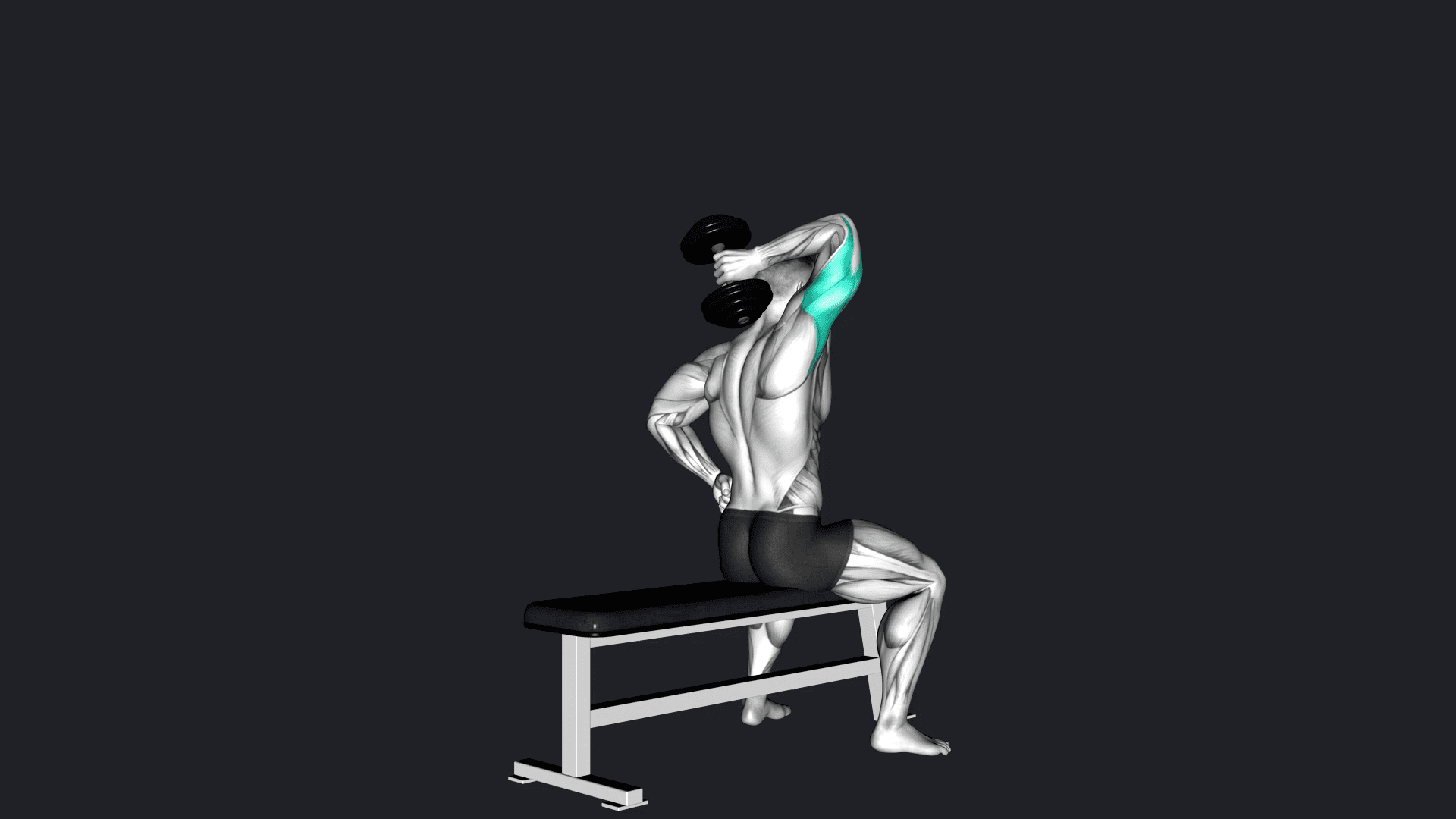 One Arm Dumbbell Tricep Extension Vs One Arm Cable Kickback