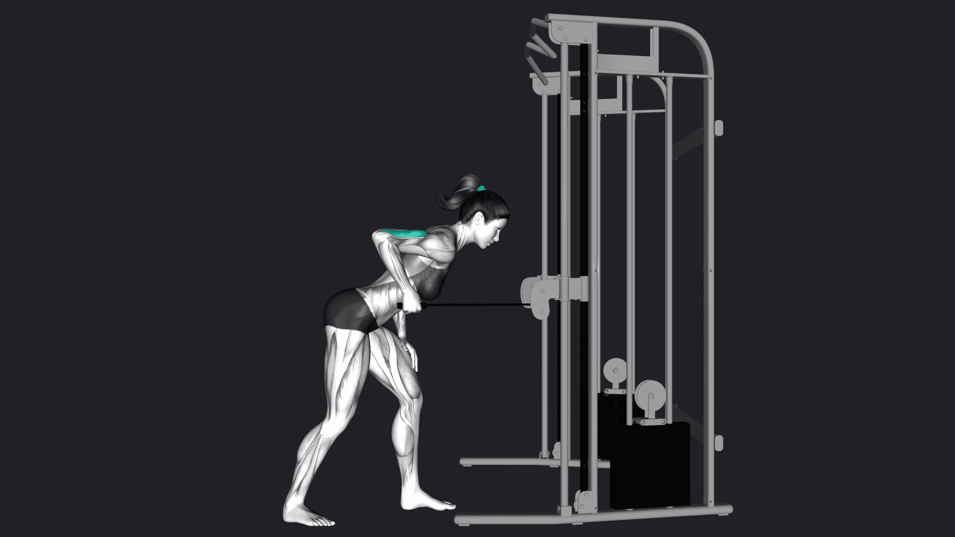 One Arm Cable KickBack vs Band Triceps Kickback