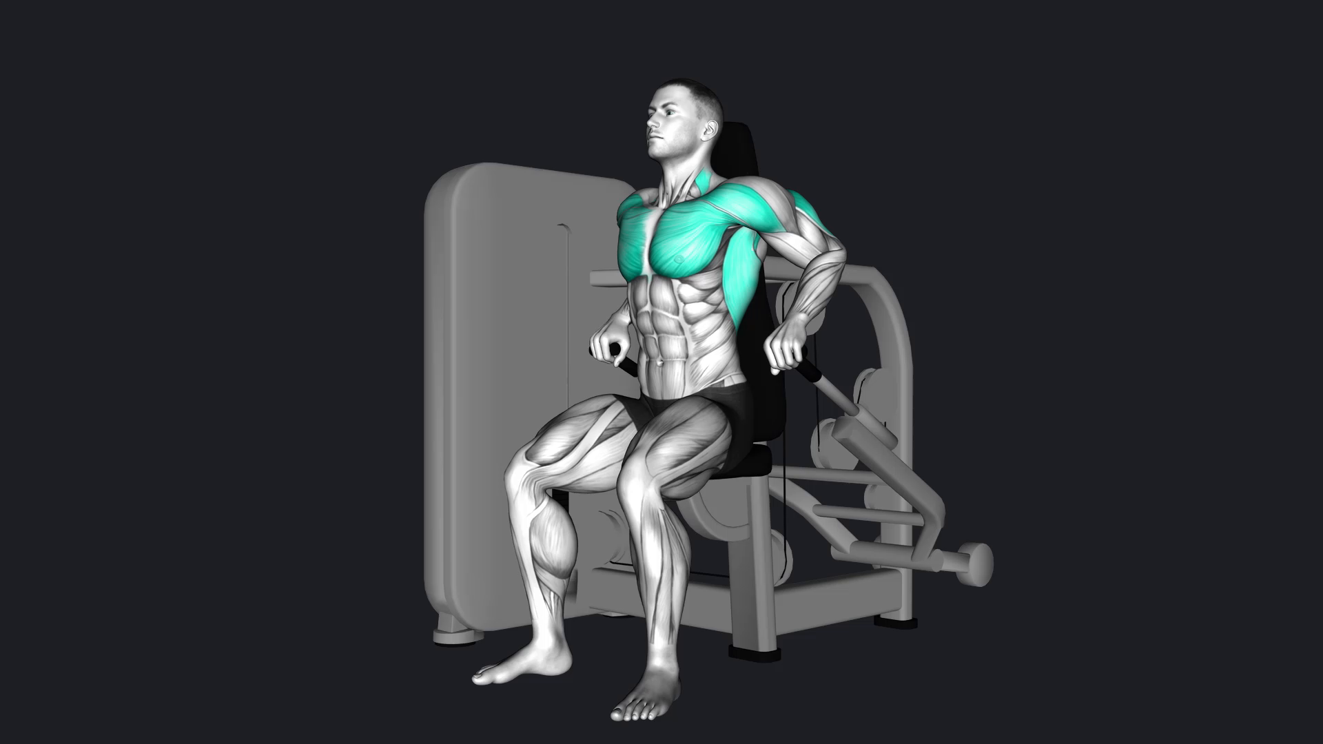 Seated Dips Machine vs Close Grip Bench Press