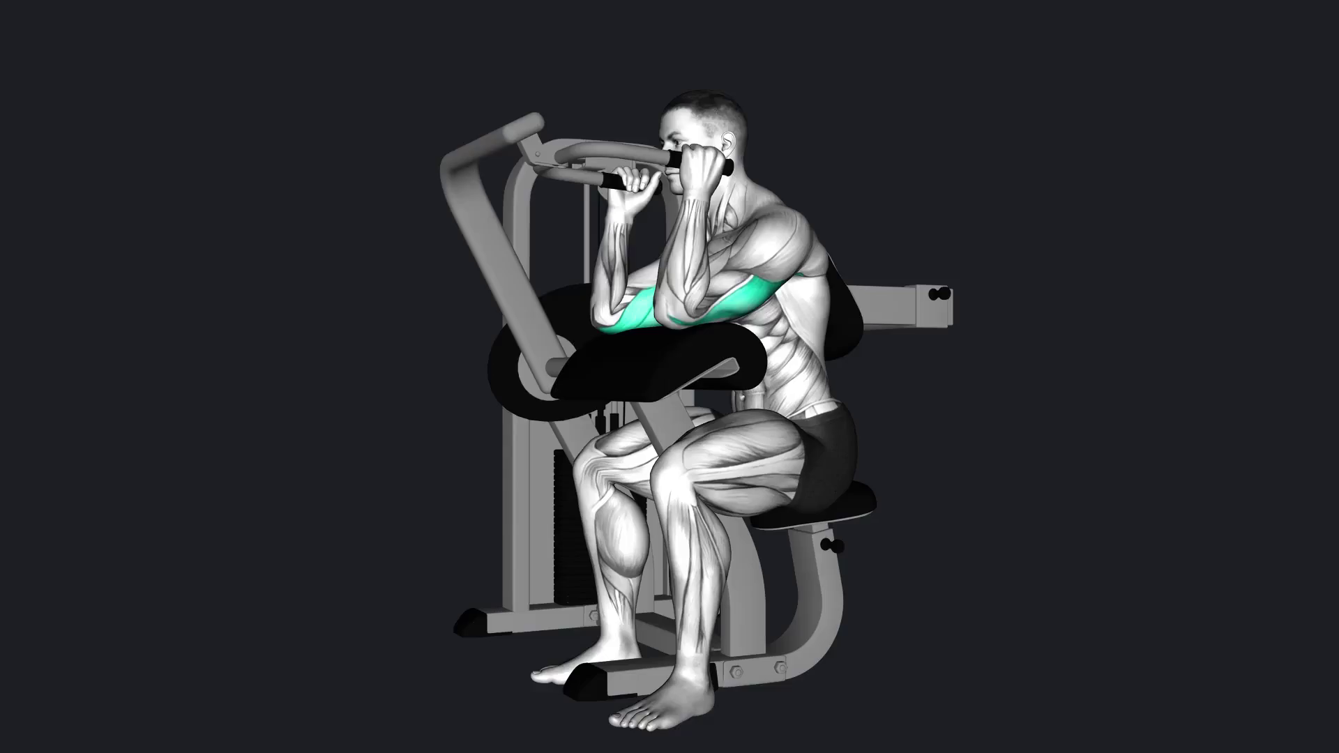 Triceps Extension Machine - how to do, Alternatives, gif & More