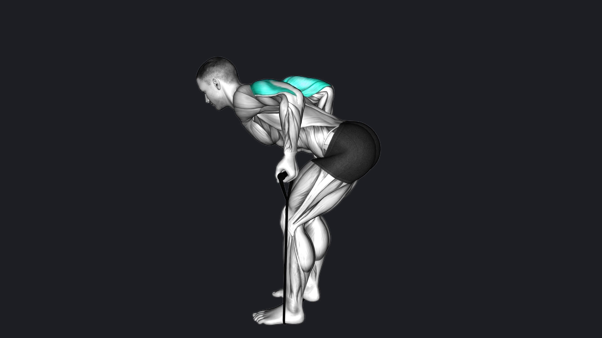 Band Triceps Kickback - how to do, Alternatives, gif & More