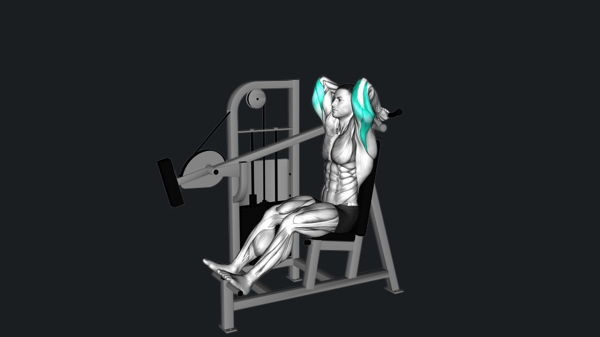 Overhead Tricep Extension Machine - how to do, Alternatives, gif & More