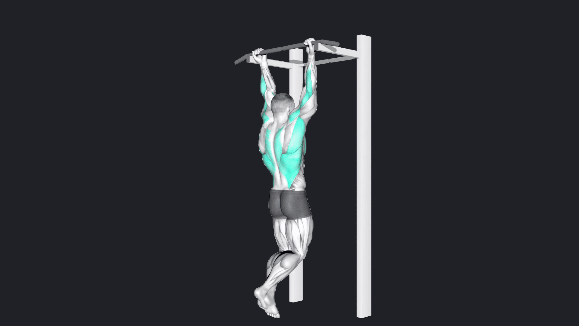 Chin up - how to do, Alternatives, gif & More