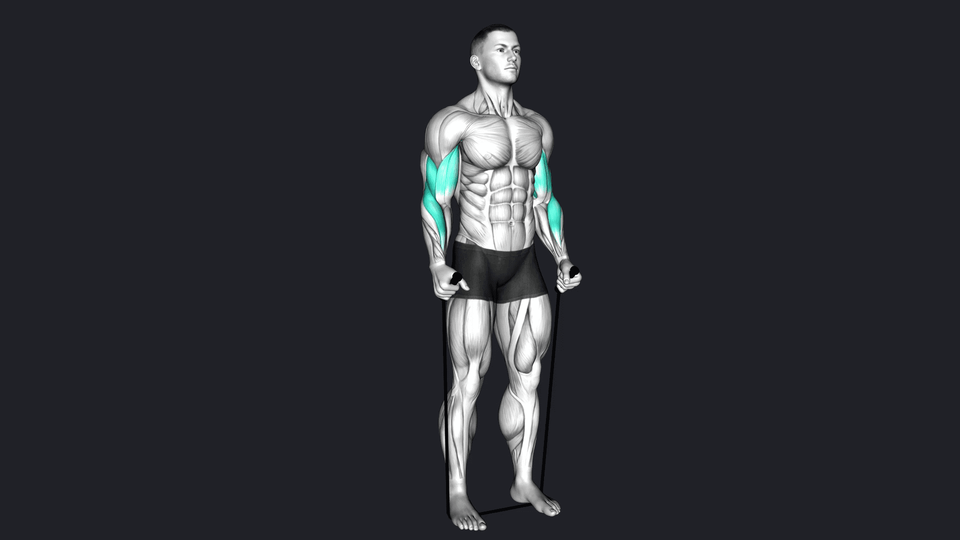 Band Hammer Curl vs Incline Dumbbell Hammer Curl Band Hammer Curl vs Incline Dumbbell Hammer Curl