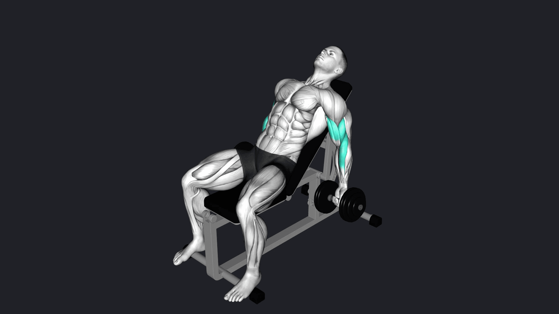 Incline Dumbbell Curl How To Do Alternatives Gif More