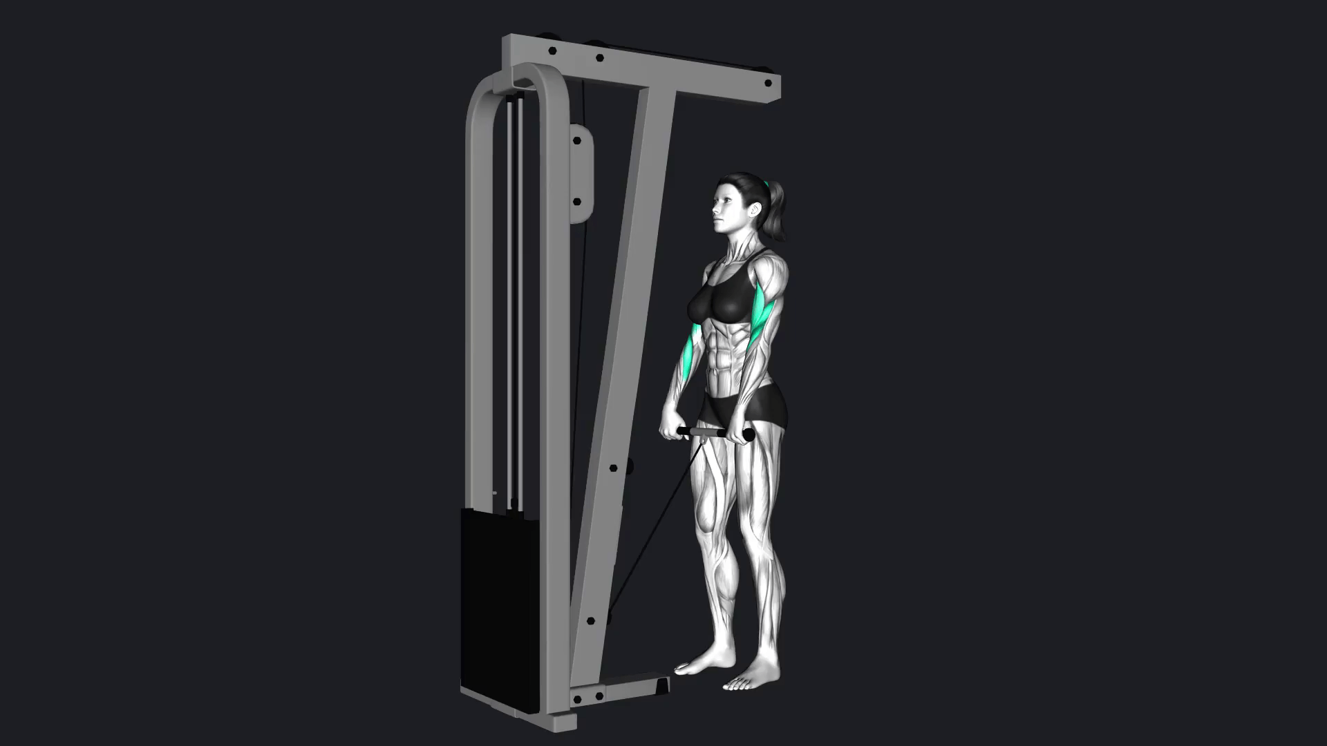 Cable Reverse Curl - how to do, Alternatives, gif & More