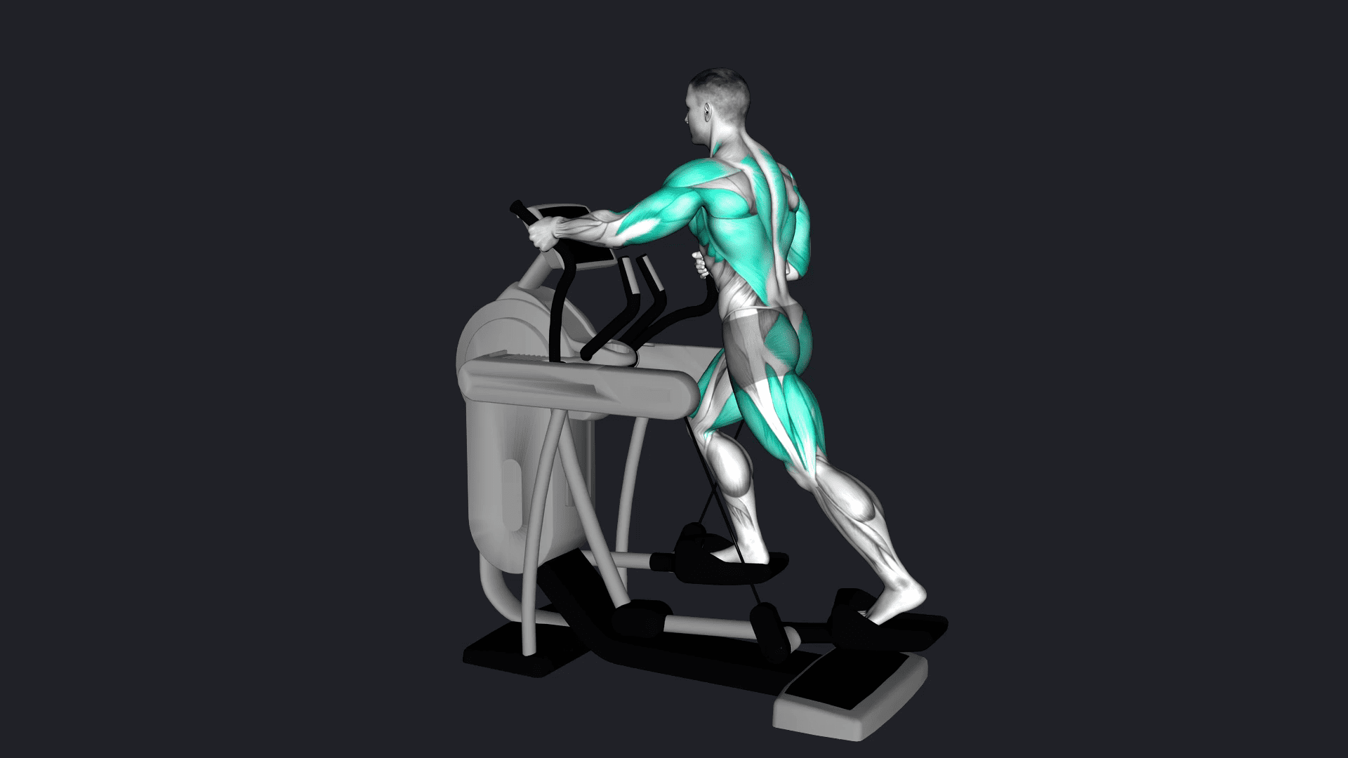 Elliptical Machine - how to do, Alternatives, gif & More