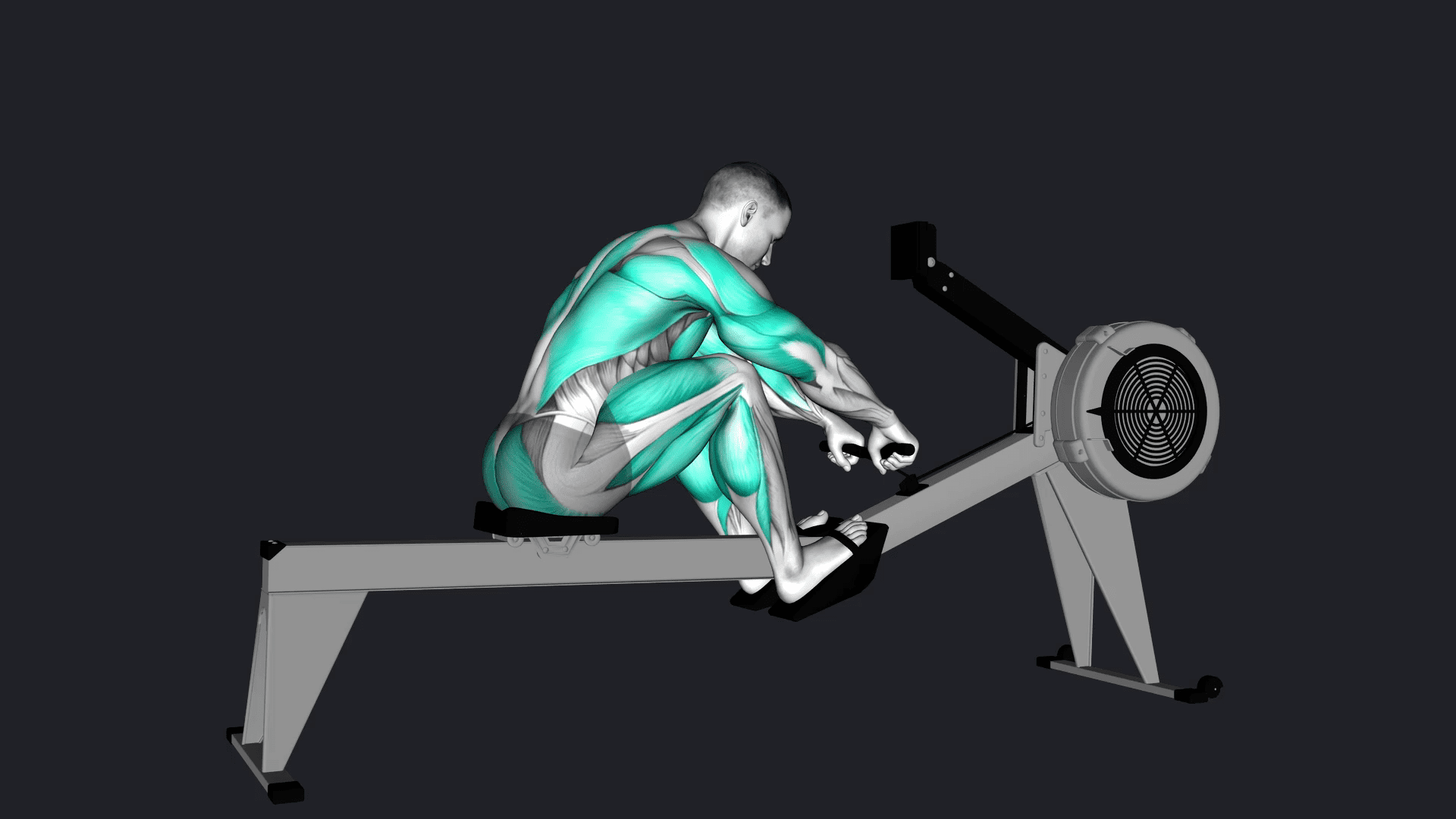 Rowing Machine vs Step Machine