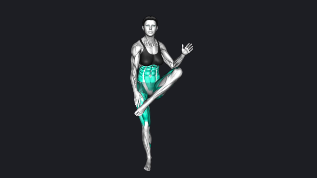 Alternating Ankle Touch - how to do, Alternatives, gif & More