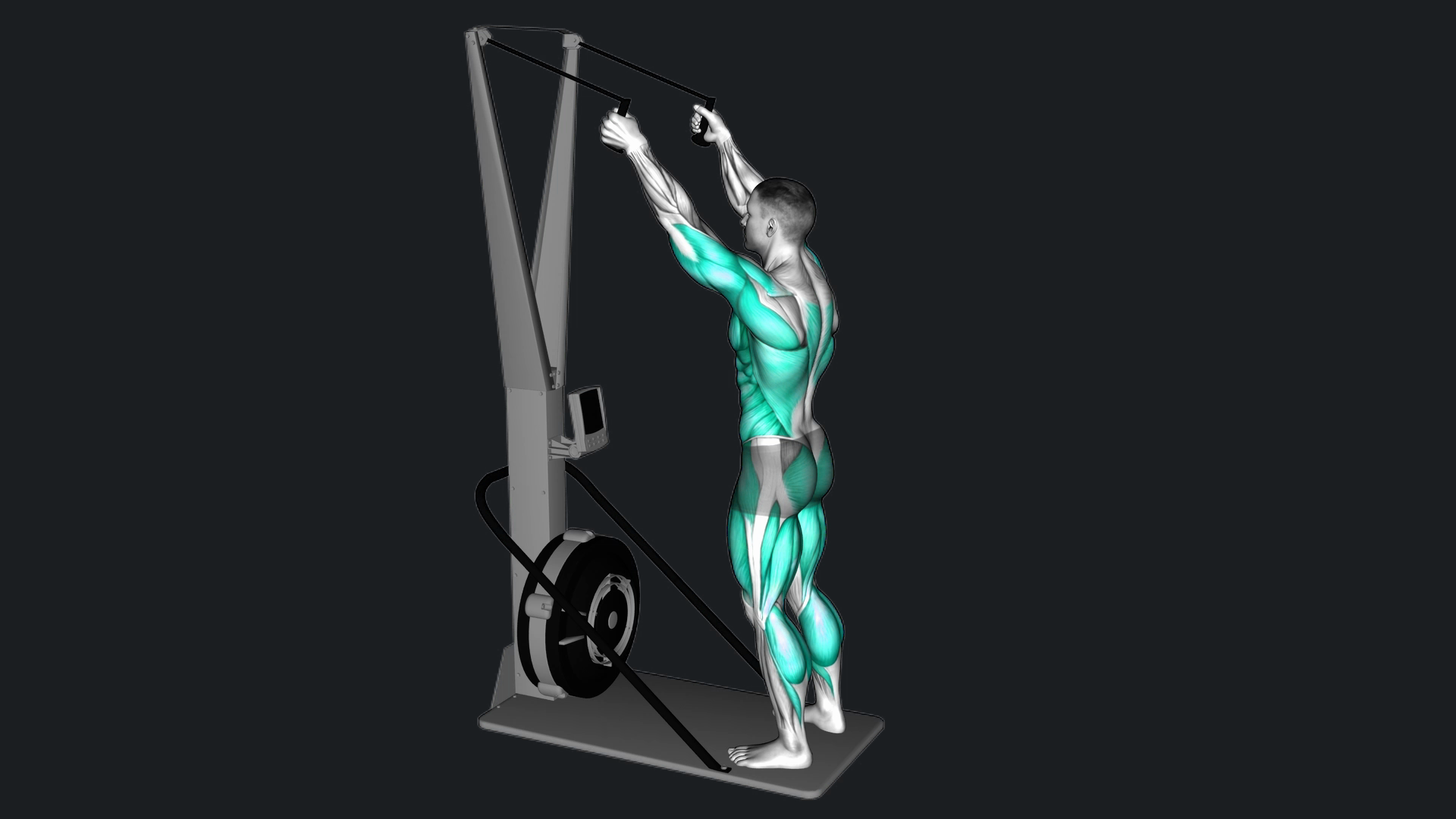 Ski Erg - Planfit Workout Guide